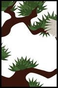 matsu-no-kasu-1